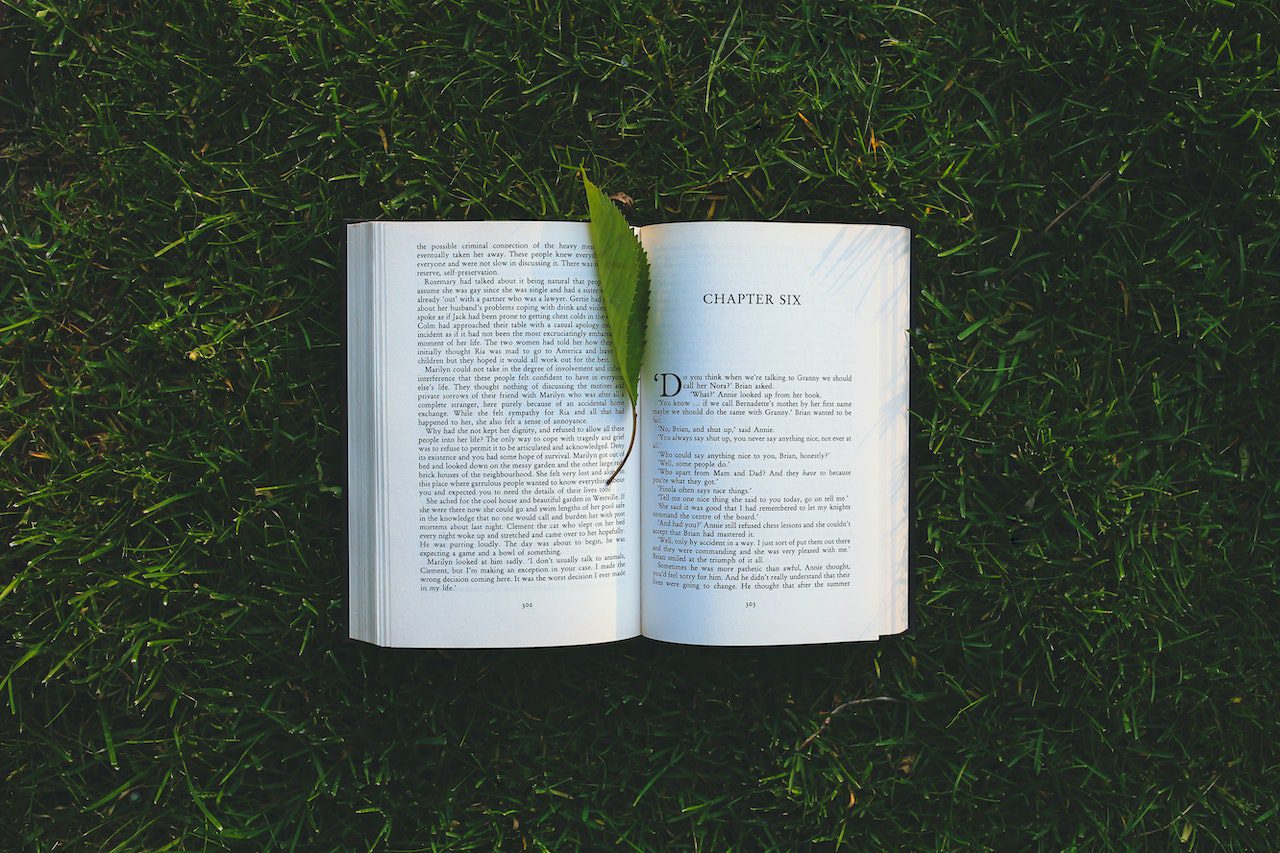 Finding The Ideal Chapter Length For Your Story Novlr